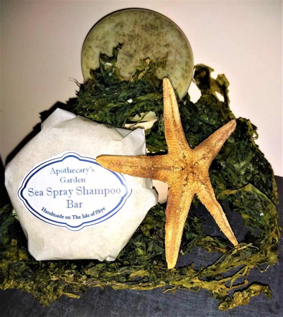 Seaweed Shampoo Bar - Scottish Island Gifts