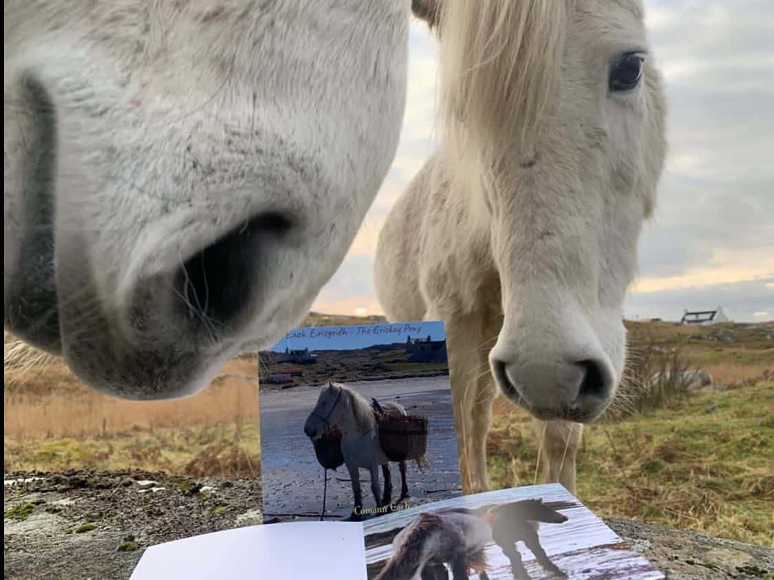 Comann Each nan Eilean - Gàidhlig air isle20