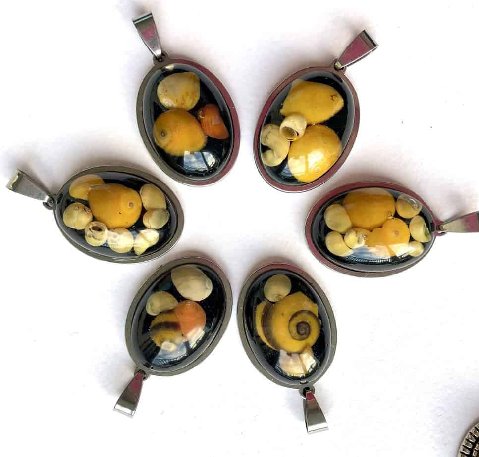 Sunset shells pendants. - Scottish Island Gifts