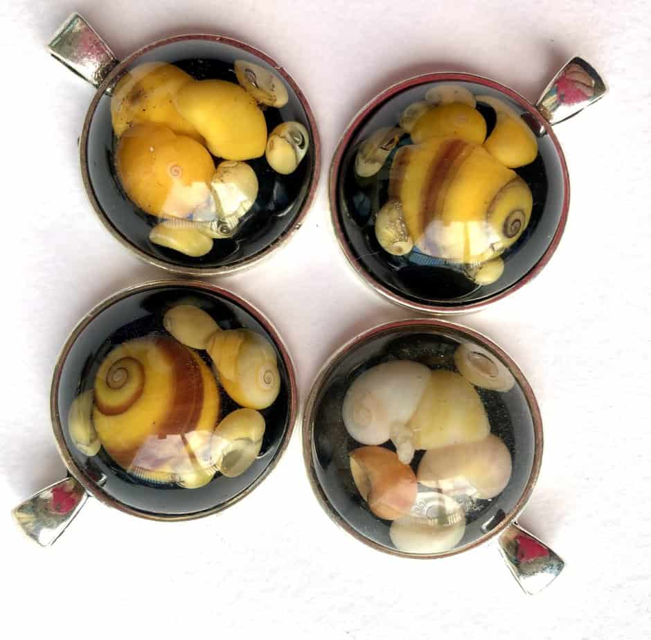 Sunset shells pendants. - Scottish Island Gifts