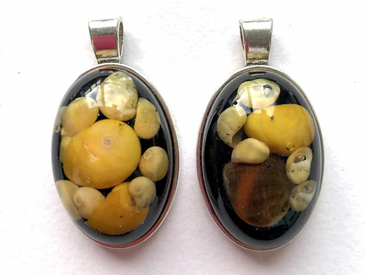 Sunset shells pendants. - Scottish Island Gifts