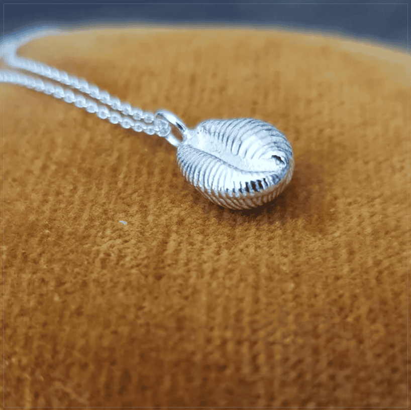 Silver Cowrie shell necklace - Scottish Island Gifts