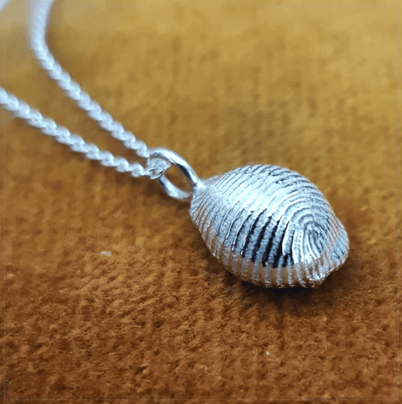 Silver Cowrie shell necklace - Scottish Island Gifts