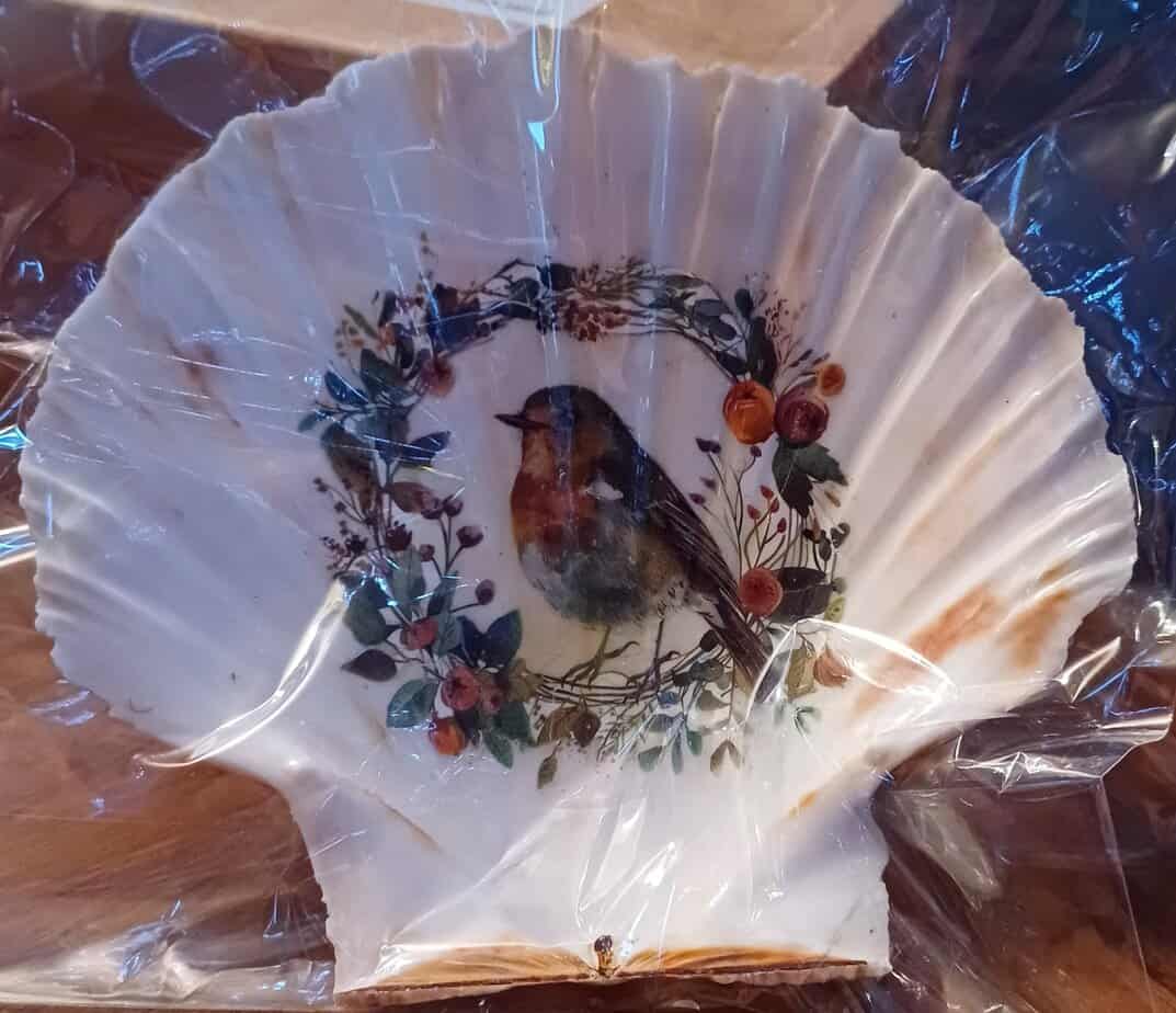 Robin Shell - Scottish Island Gifts